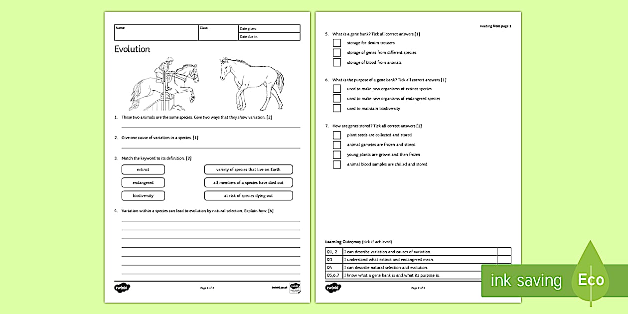 Evolution Homework Worksheet / Worksheet (teacher made)