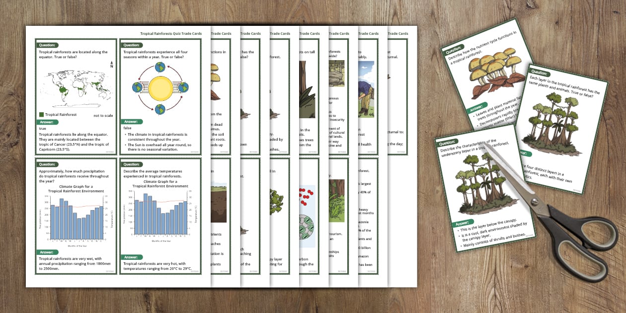 GCSE AQA Tropical Rainforests: Quiz Trade Revision Cards