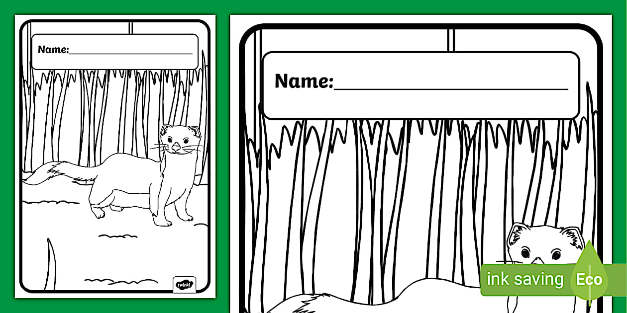 Weasel Colouring Book Cover | Twinkl | KS1 | Stationery