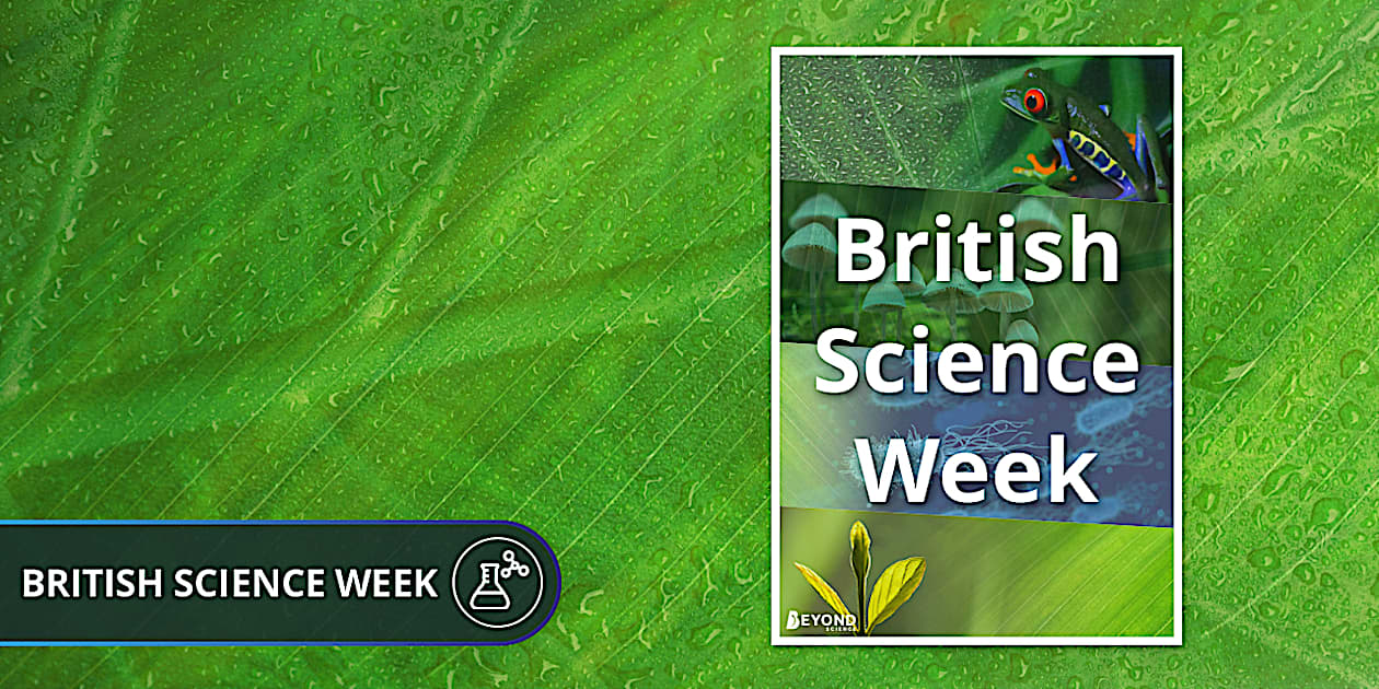 British Science Week Display Poster | Science | Beyond