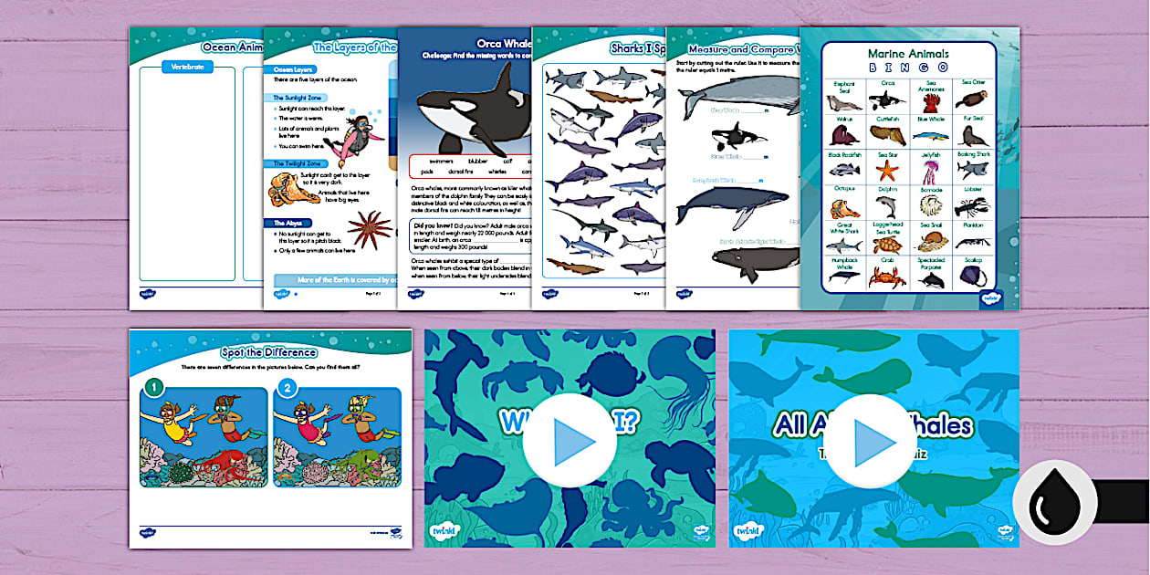 Oceans Primary Activity Pack (teacher made) - Twinkl