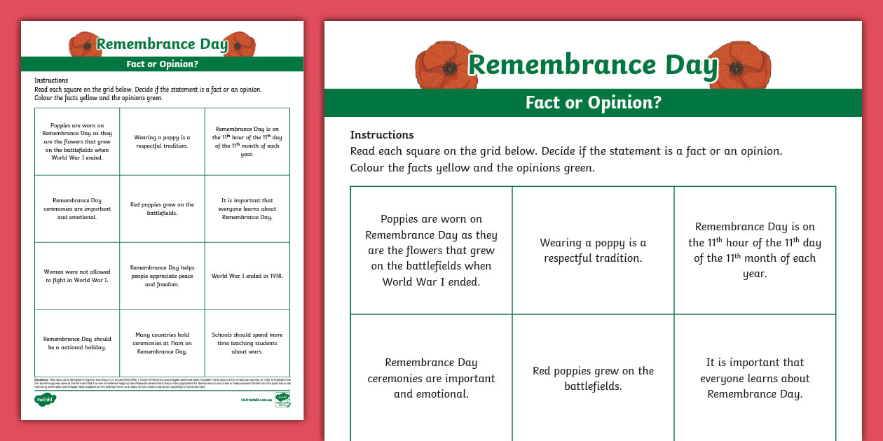 Remembrance Day Fact or Opinion? Worksheet (teacher made)