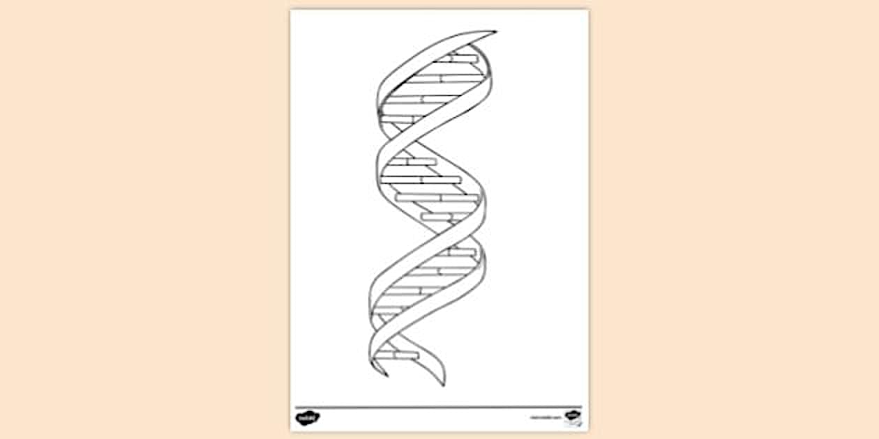 DNA Colouring | Colouring Sheet (professor feito) - Twinkl