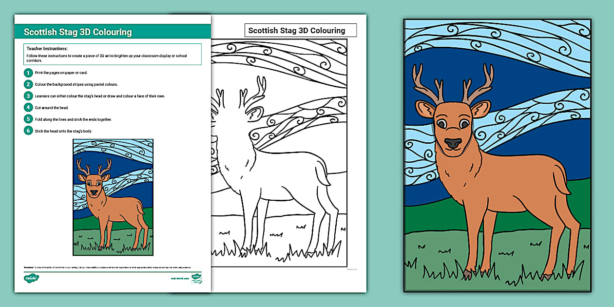 Scottish Stag 3D Colouring Activity Sheet (teacher made)