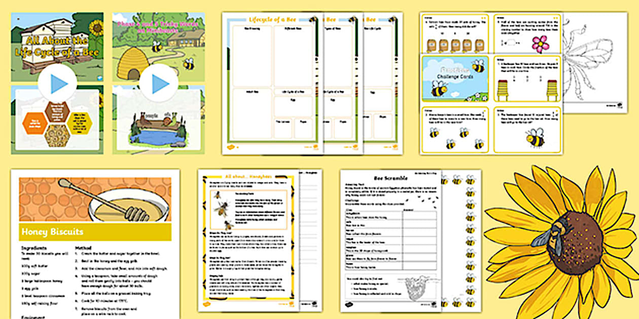 Editable All About Bees Resource Pack KS1 - Twinkl