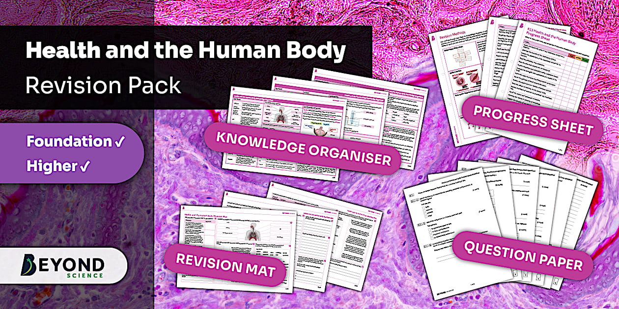 KS3 Health and the Human Body Revision Pack | Beyond Science