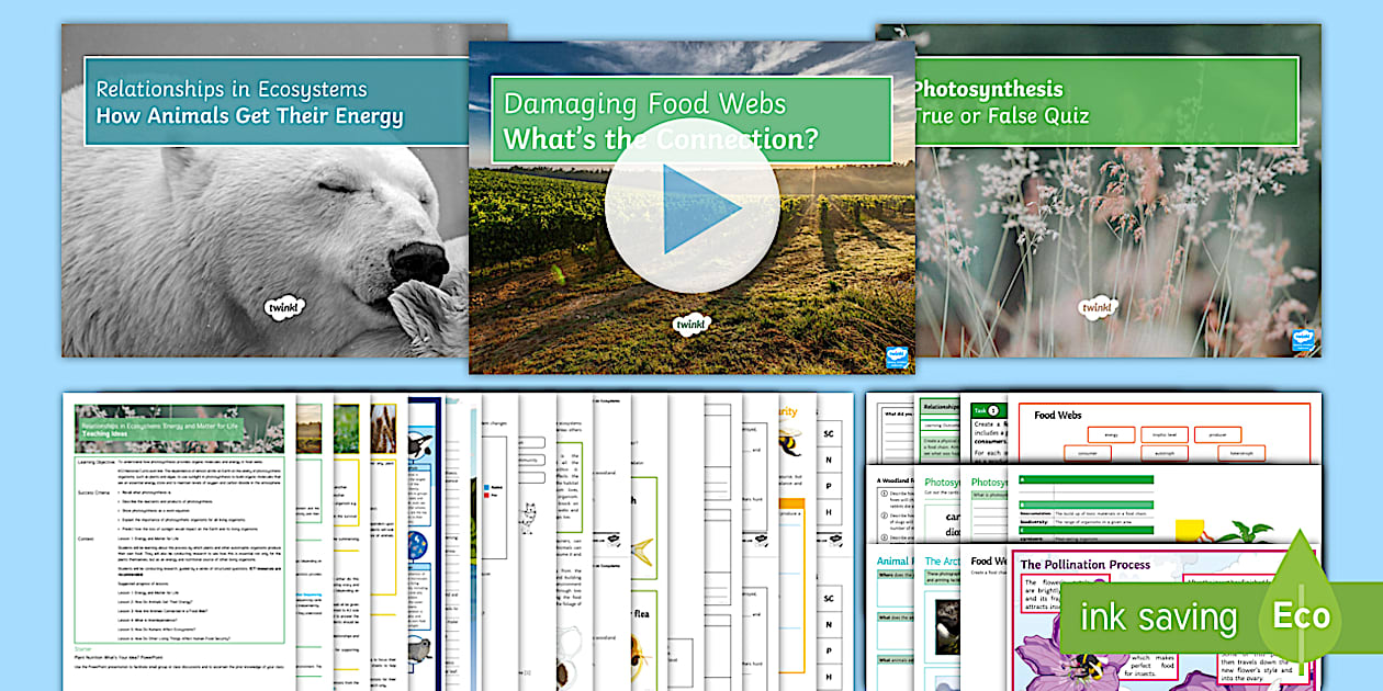 Relationships in Ecosystems Activity Pack - Beyond Secondary