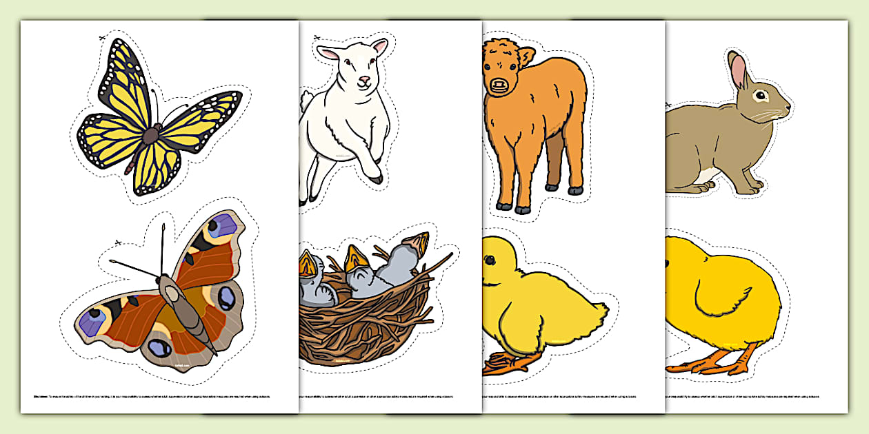 Spring Animals Display Cut-Outs (teacher made) - Twinkl