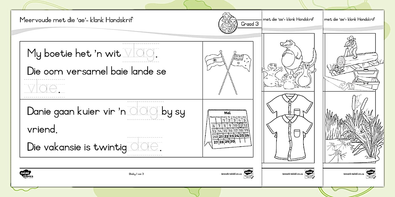 Graad 3 meervoude 'ae' woorde bv. vlae - handskrif - Twinkl