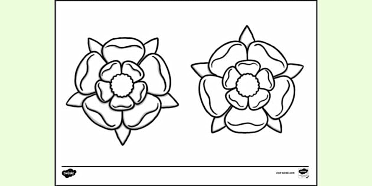 Wars of the Roses Colouring Sheet | Colouring | Twinkl