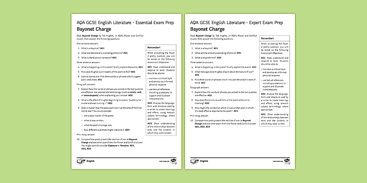 AQA Poetry: Bayonet Charge - Differentiated Revision Worksheets