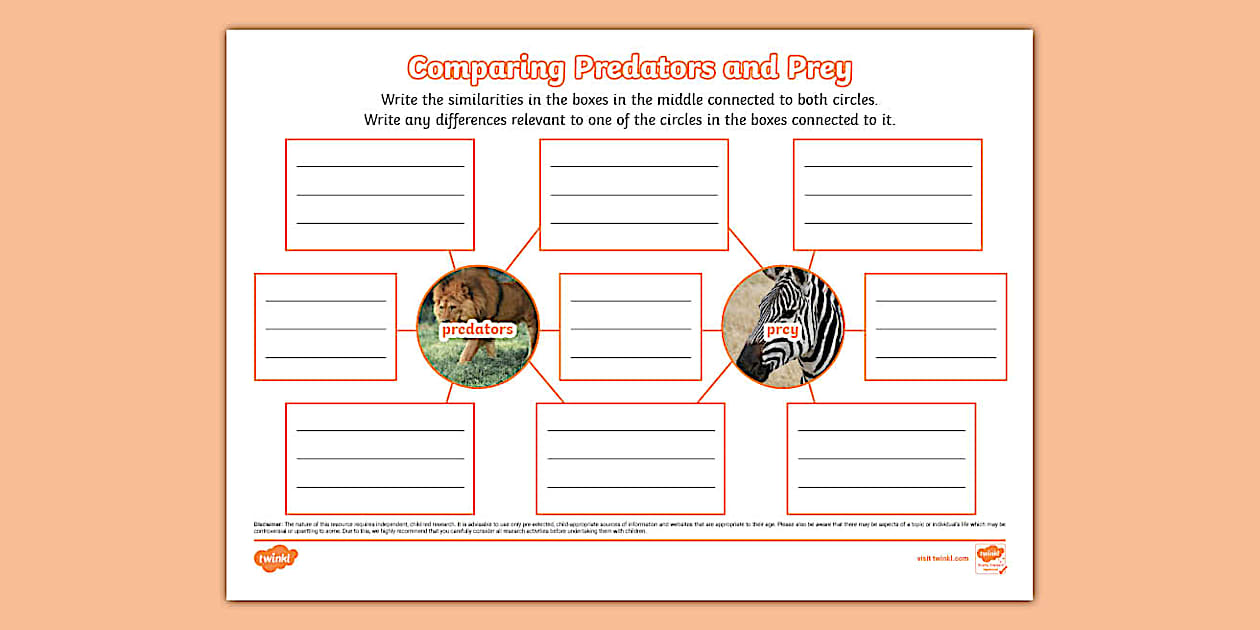 Comparing Predators and Prey Comparison Mind Map - Twinkl