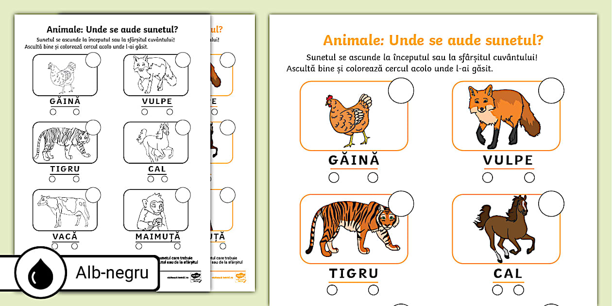 Animale: Unde se aude sunetul? – Fișă de activitate