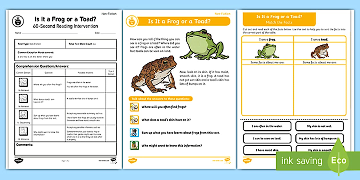 Level 4: 'Is It a Frog or a Toad?' 60-Second Reading Set 1 Intervention ...
