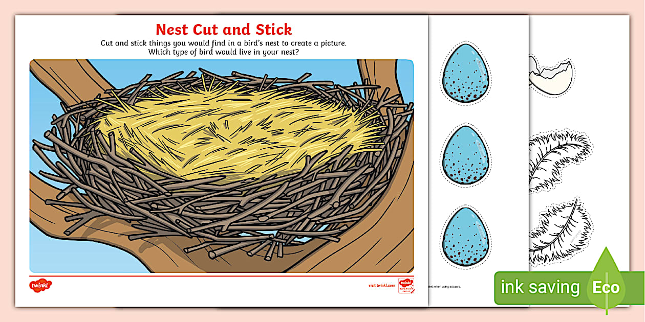 Nest Cut and Stick Activity (teacher made) - Twinkl