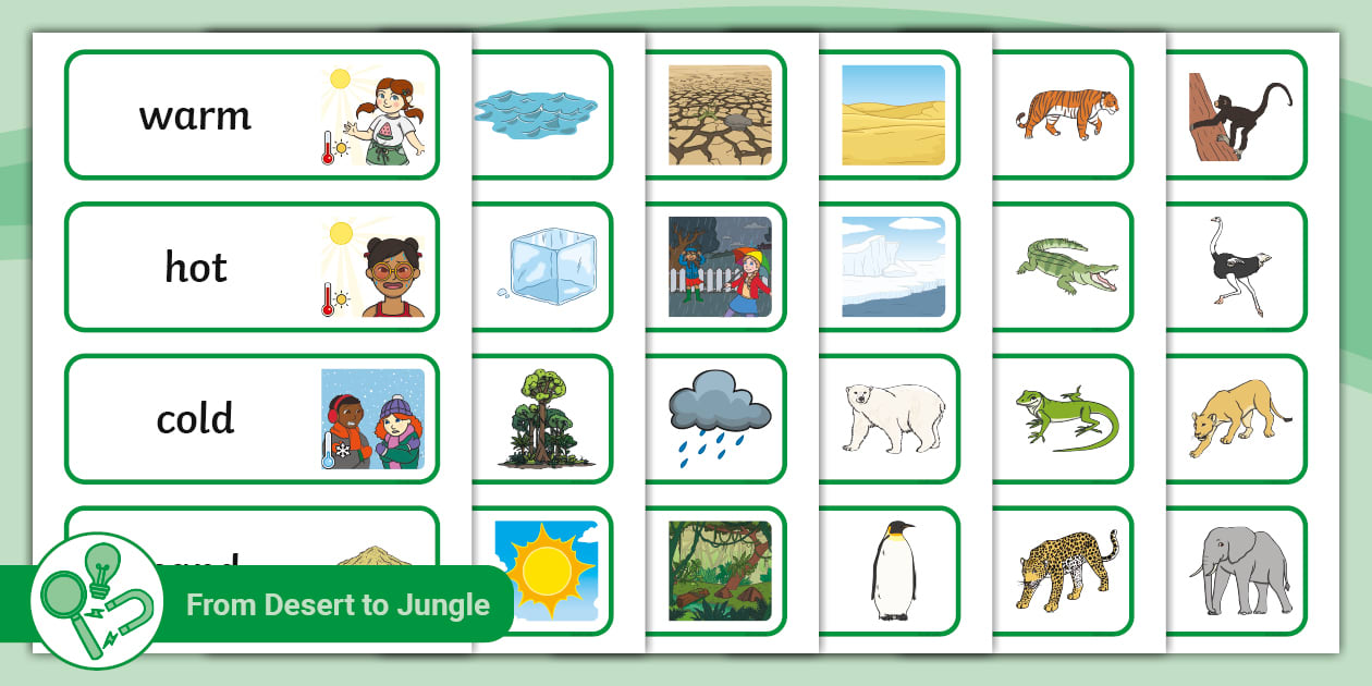 Science Vocabulary Cards From Desert to Jungle White Rose