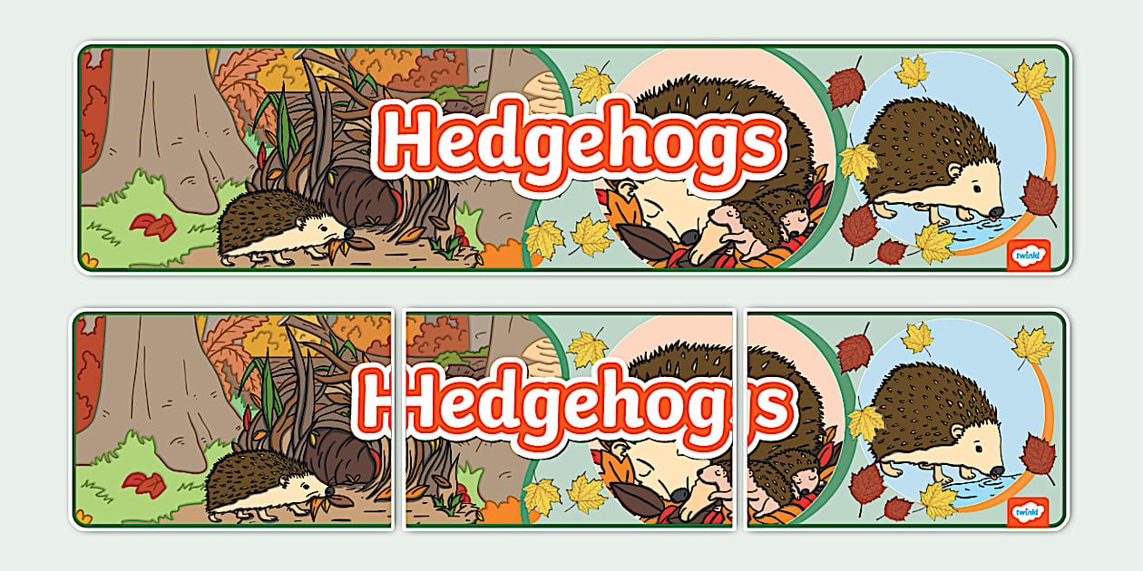 Hedgehogs Display Banner - Illustration Banner - Twinkl