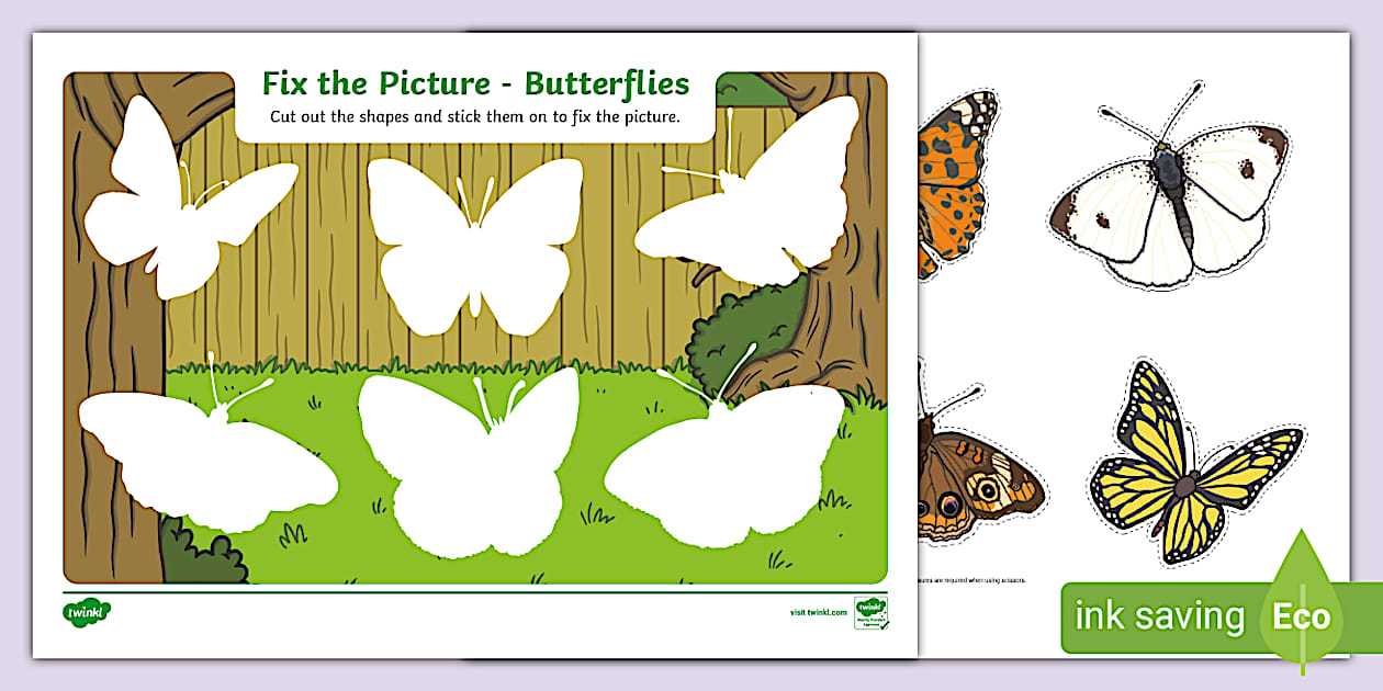 Fix the Picture - Butterflies (teacher made) - Twinkl