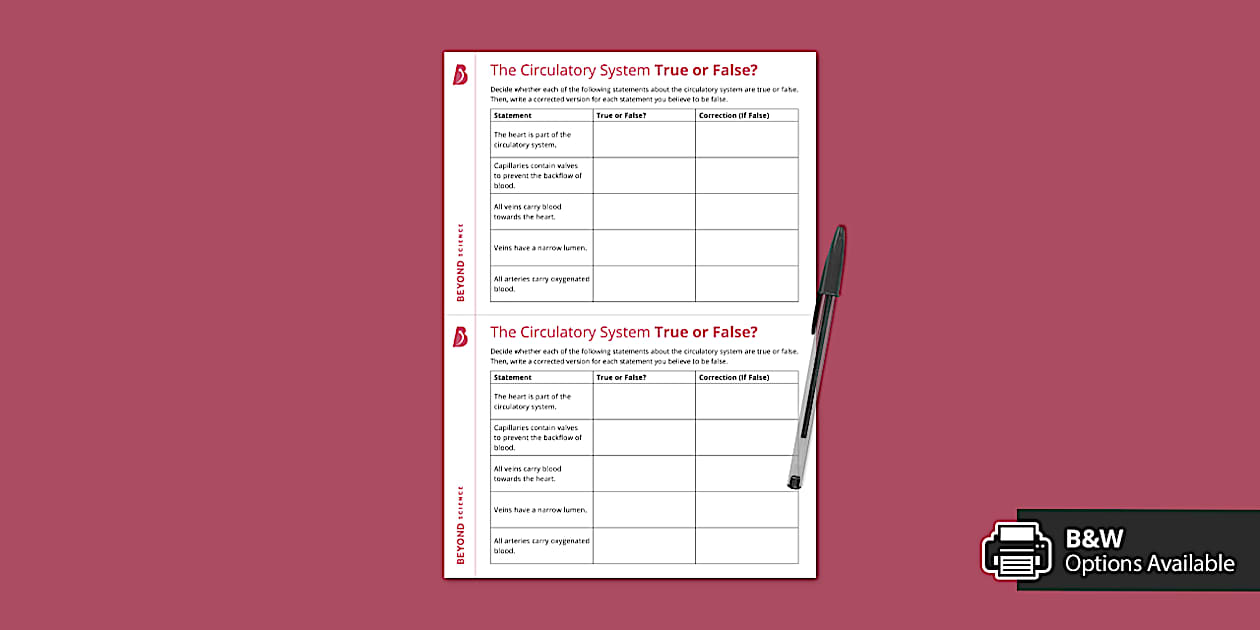 The Circulatory System True or False? | Science | Beyond