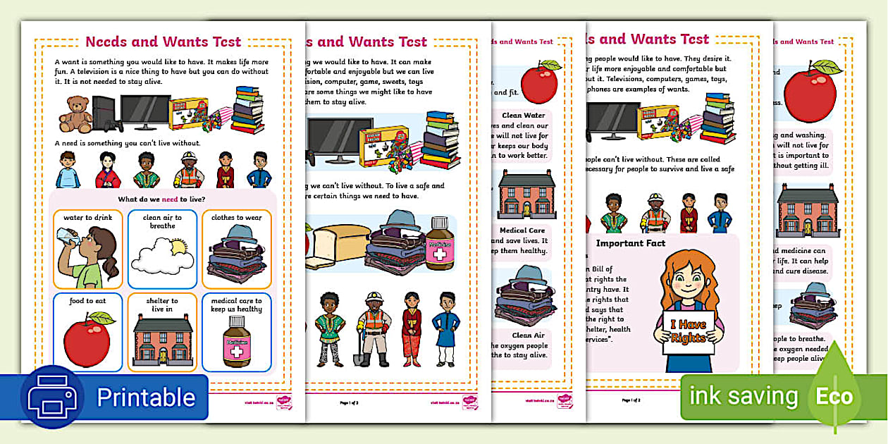 Needs and Wants Test Grade 4 (teacher made) - Twinkl