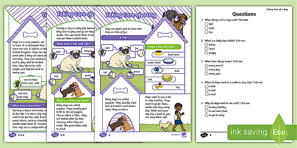 KS1 How To Look After a Dog Differentiated Reading Comprehension Activity