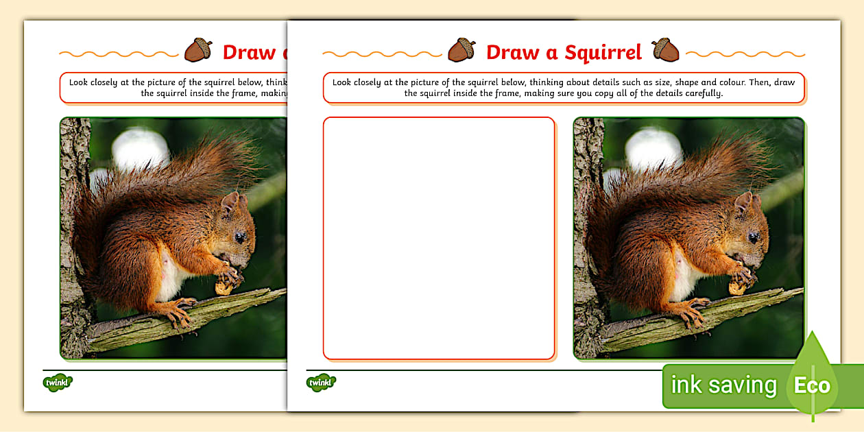 Draw the Squirrel,squirrel (teacher made) - Twinkl