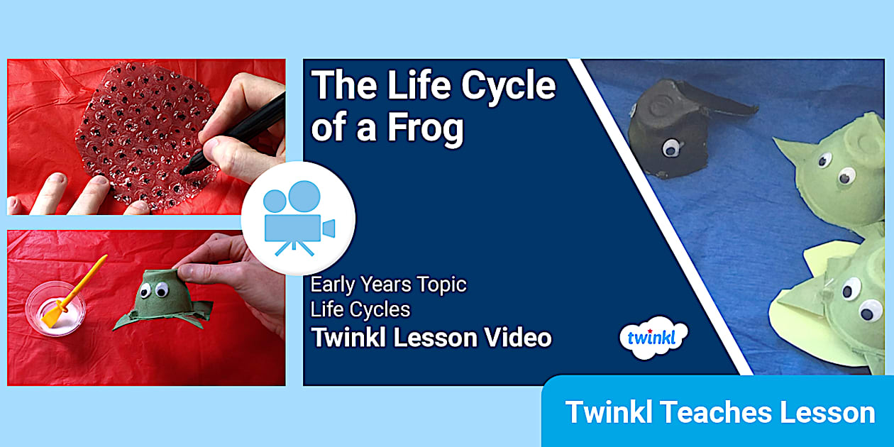 The Life Cycle of a Frog Video Lesson | Early Years Craft