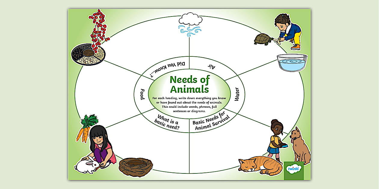 Needs of Animals Around the Table (teacher made) - Twinkl
