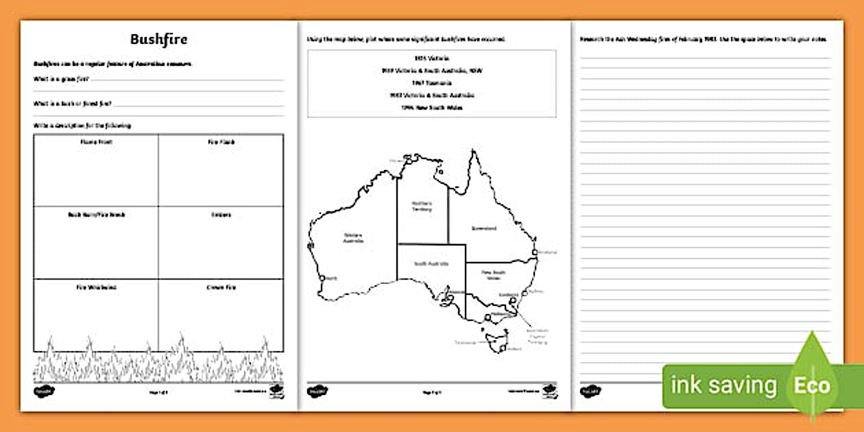 Editable Bushfire Worksheet (professor feito) - Twinkl