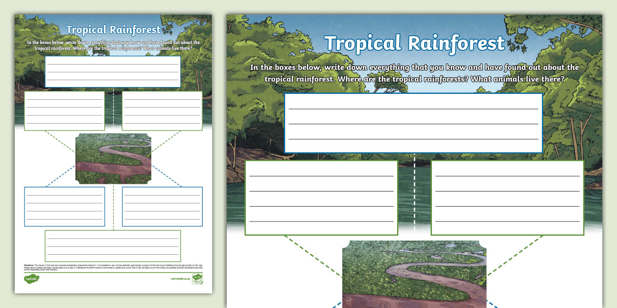 Tropical Rainforest Mind Map