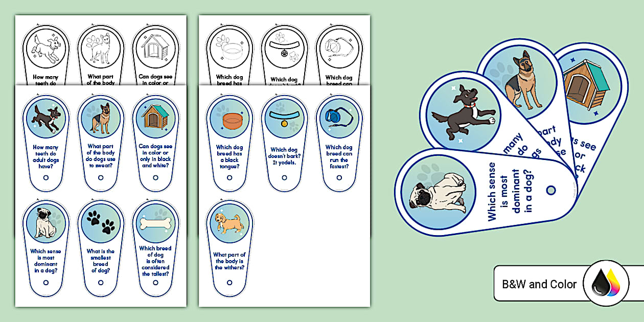 Dog Trivia Worksheet | Teaching Resouce | Twinkl USA