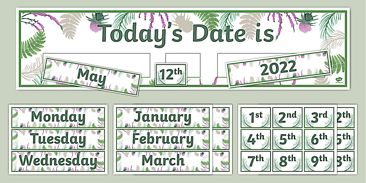 Scottish Botanical-Themed Today's Date Display Pack - Twinkl