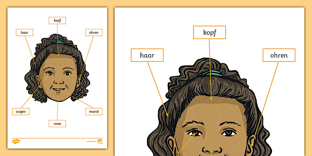 👉 Parts of the Face in German Poster