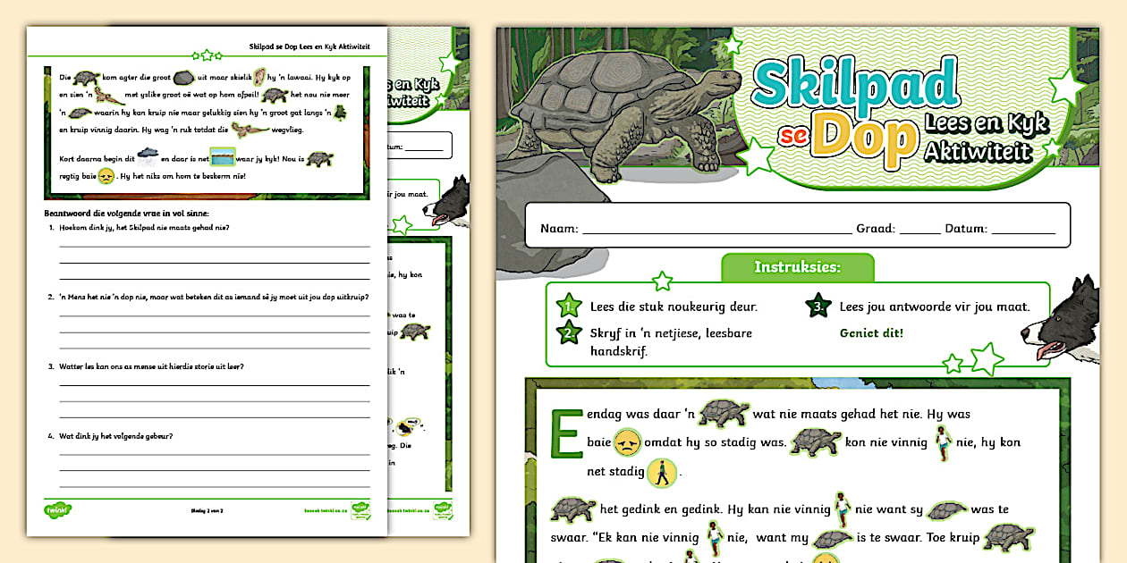 Skilpad se Dop Lees en Kyk Aktiwiteit (teacher made)