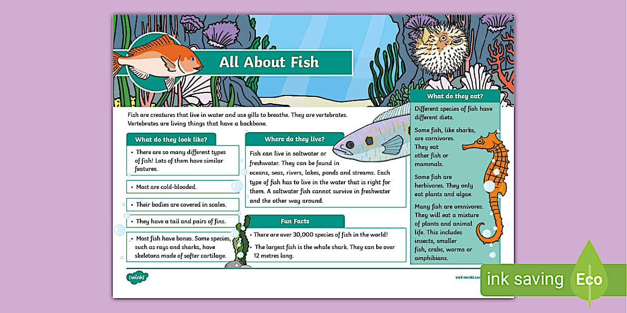 Fish Fact File - Science - KS1 - Animals (teacher made)