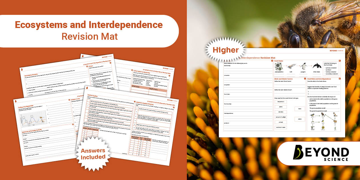 KS3 Ecosystems and Interdependence Higher Revision Mat