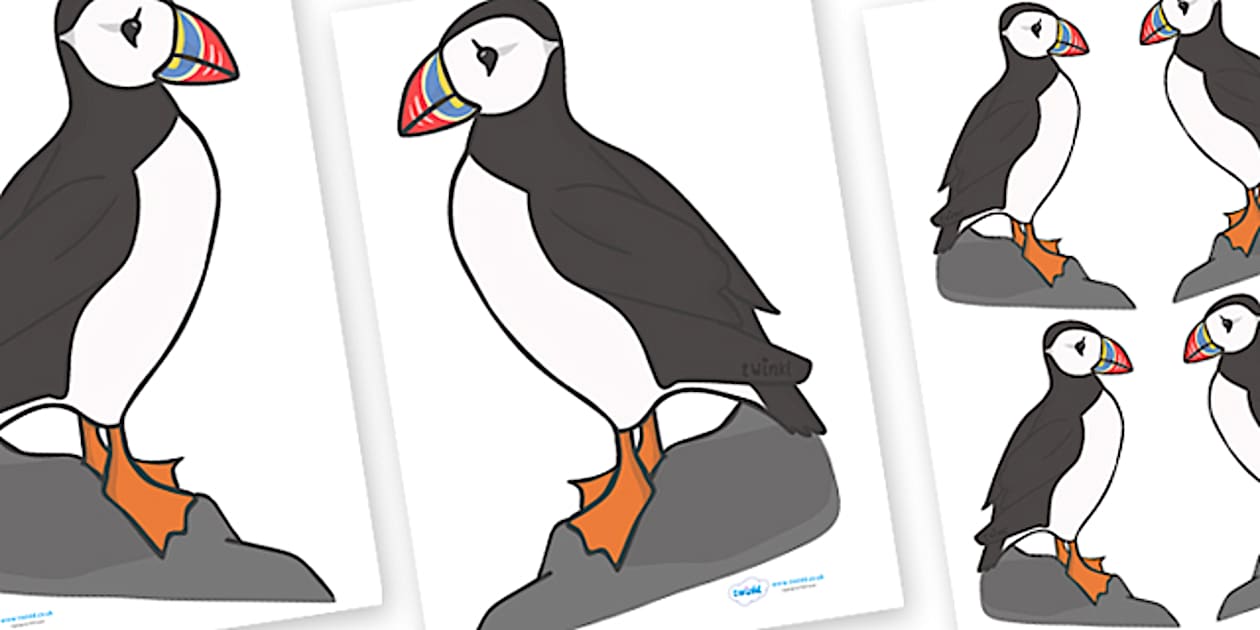 👉 Editable Puffin (A4) (teacher made) - Twinkl