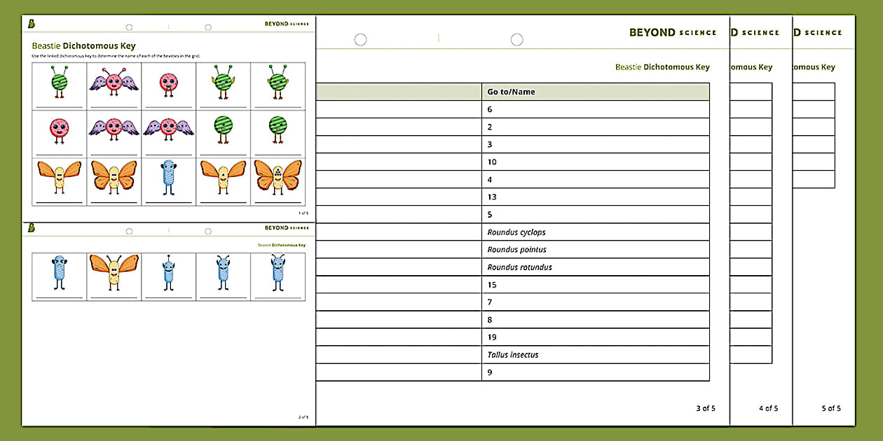 Beastie Dichotomous Keys (teacher made) - Twinkl