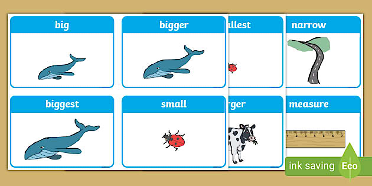 Size Word Cards Stick and Ball (teacher made) - Twinkl