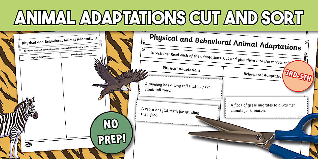 Physical and Behavioral Animal Adaptations Sorting Worksheet for 3rd ...