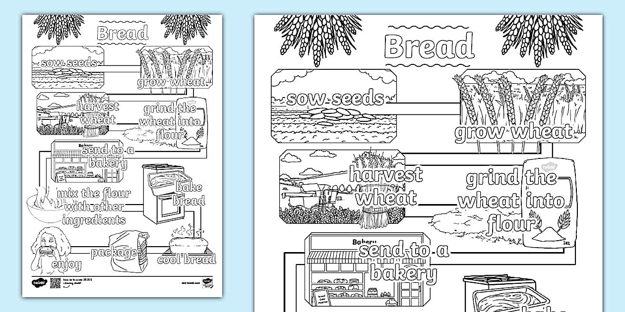The Journey of Bread Colouring Sheet (Teacher-Made) - Twinkl