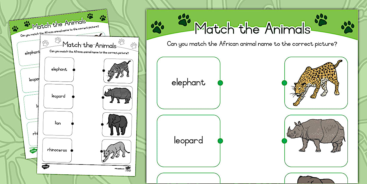 African Animals Matching Worksheet (Lehrer gemacht) - Twinkl