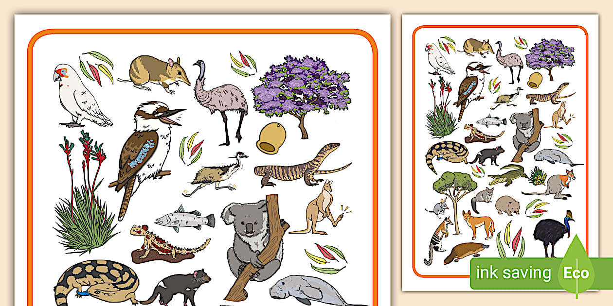 Australian Plants and Animals Cut-Outs (teacher made)