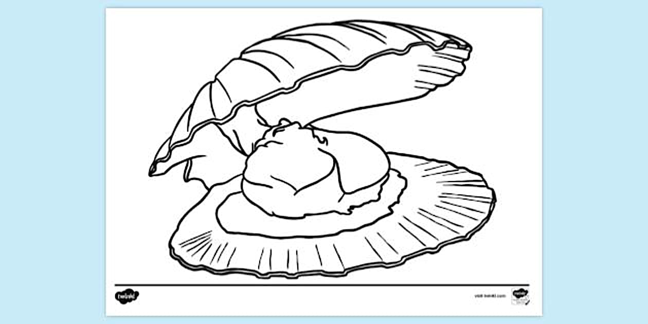 Open Shellfish Colouring | Colouring Sheets