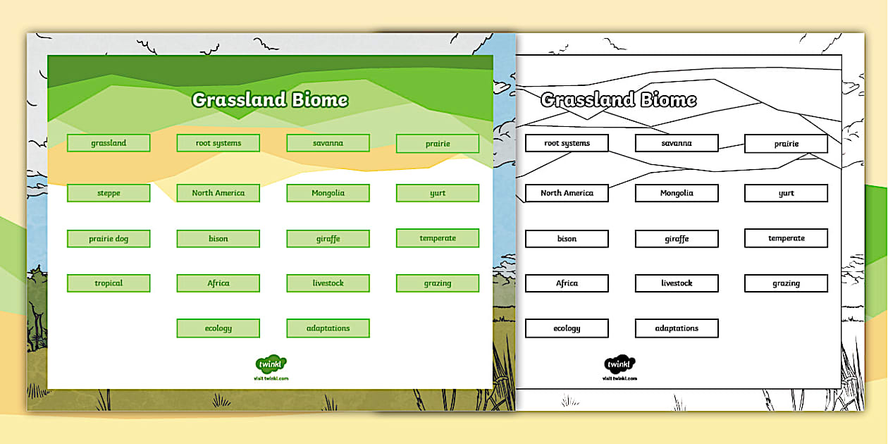 Grassland Biome Vocabulary Mat (Teacher-Made) - Twinkl