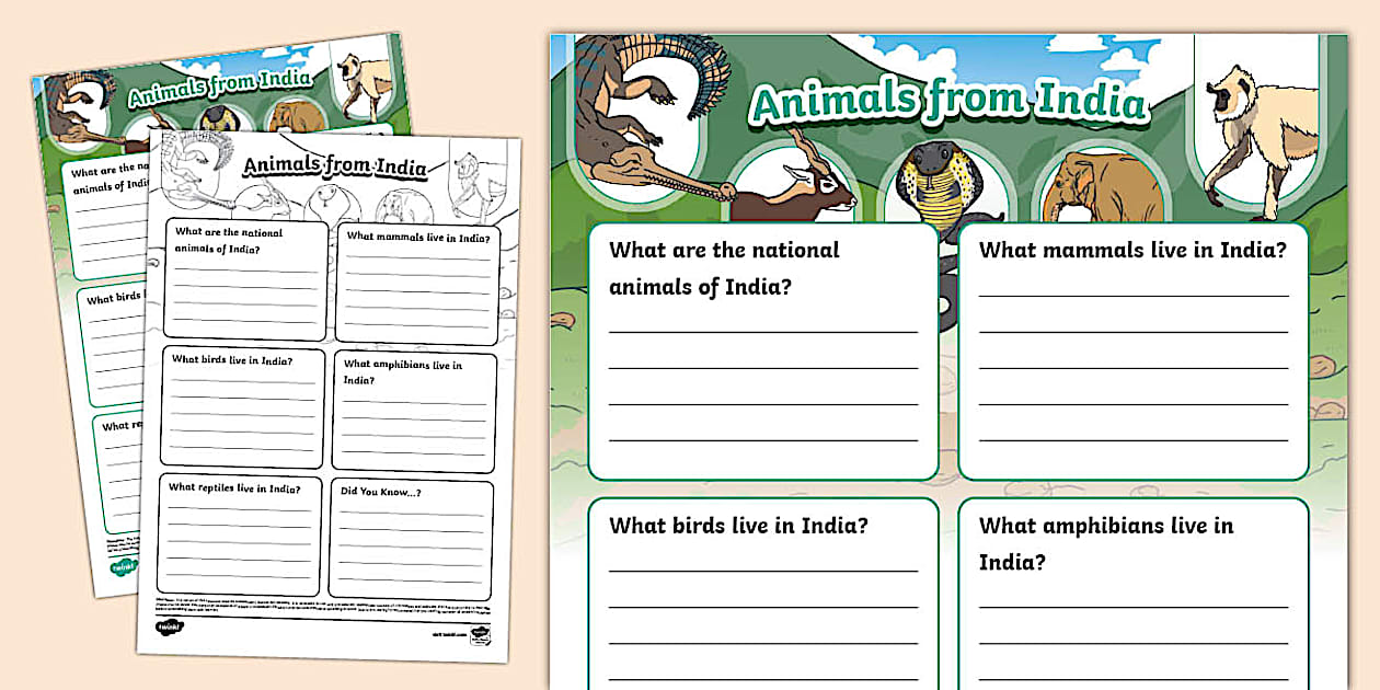 Animals from India Fact File Template (teacher made)