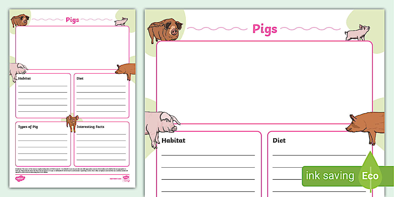 Pigs Fact File Template, All about Pigs, Farm Animals