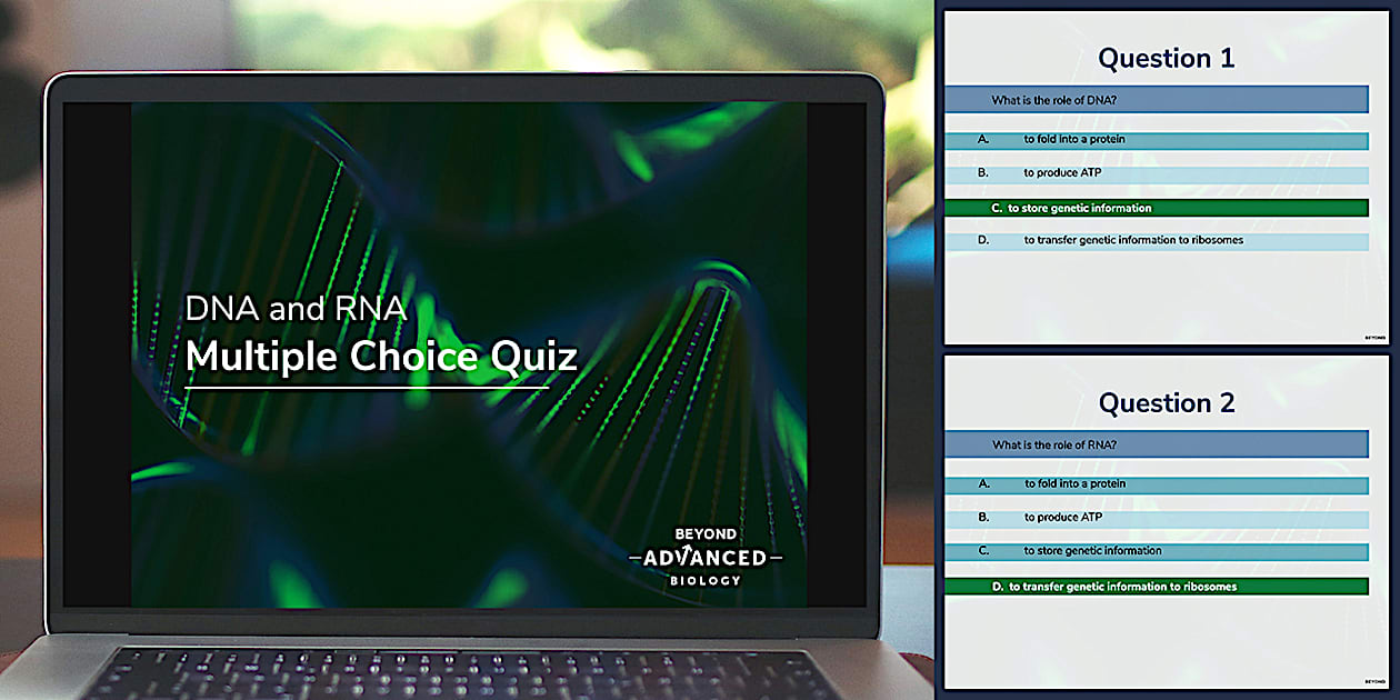 RNA & DNA Questions | A Level Biology | Beyond: Advanced