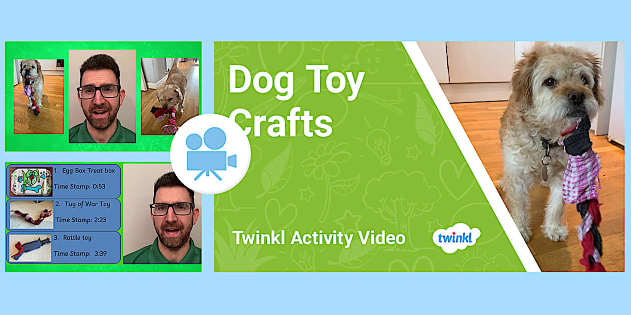 KS2 (Ages 7-11) Activity Video: DIY Dog Toy Crafts - Twinkl
