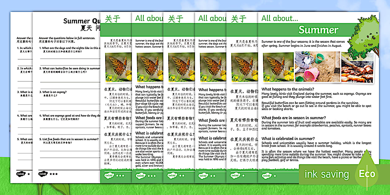 Summer Comprehension Differentiated Worksheet / Worksheets English/Mandarin